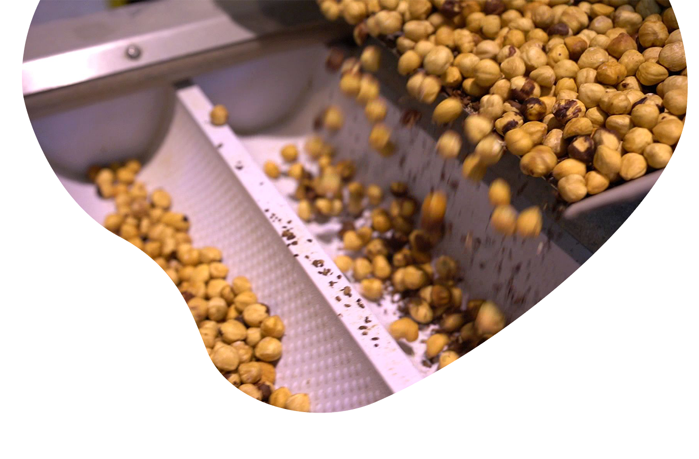 Robna Marka - Bio Una Novi Sad